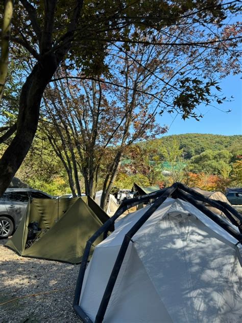 하임플래닛 백도어 실사용기 3년째 나의 캠핑 최애 텐트 네이버 블로그