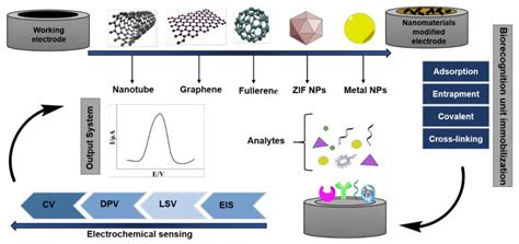 Label Free Electrochemical Biosensors For Cancer Diagnosis Biosensors