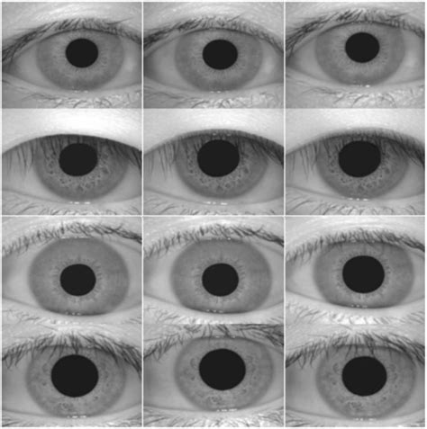 Iris Recognition System Using Advanced Segmentation Techniques And Fuzzy Clustering Methods For
