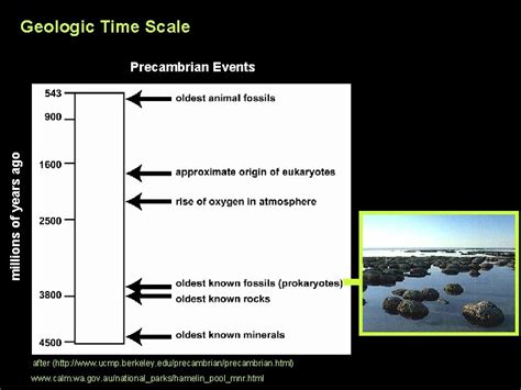Time Scales Time Perspectives Chronostratigraphy Geologic Time Scale