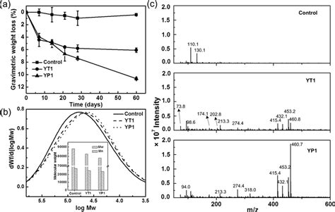 Characterization Of Pe Biodegradation By Strains Yt1 And Yp1 In Lcfbm Download Scientific