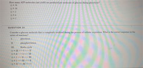 solved how many atp molecules net yield are produced per