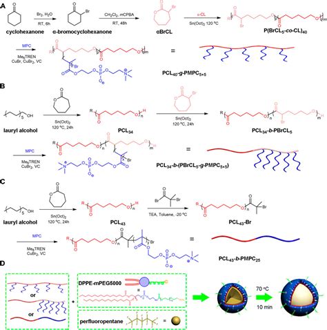 Frontiers Phospholipid Mimicking Block Graft And Block Graft Copolymers For Phase Transition