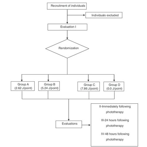 Flow Chart Of Experimental Design Download Scientific Diagram