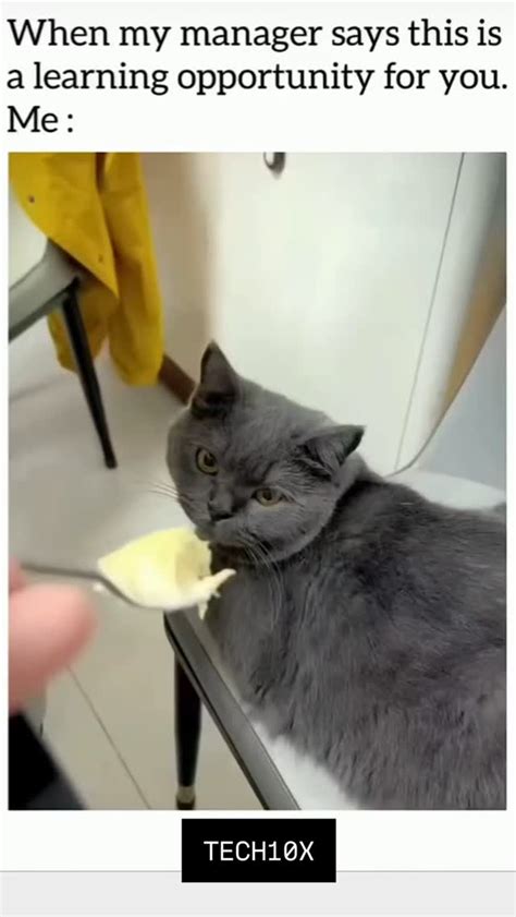 Tech10x Me 😂😂😂 Coding Java Coder Programmer Webdev