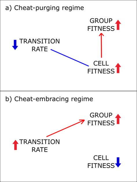 Detection Of Emergent Relations In The Hammerschmidt Et Al 2014 595