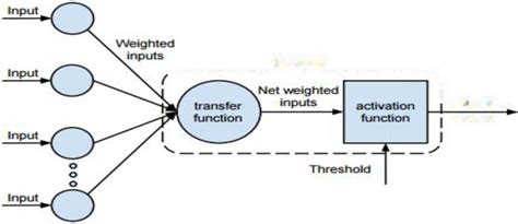 A Neuron Sums Multiple Weighted Inputs From Other Neurons And Applies