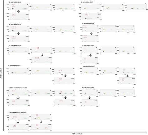 Kras Mutant Ffpe Tissue Dna Analysis Using Multiplex And Duplex Assays Download Scientific