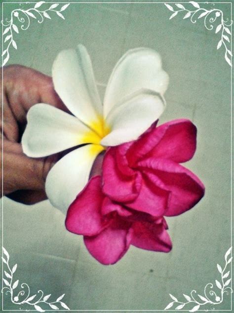 ดอกลีลาวดี 🌺🌼 บ้าน Admin บ้านส้อง บ้านฉัน Fanpage