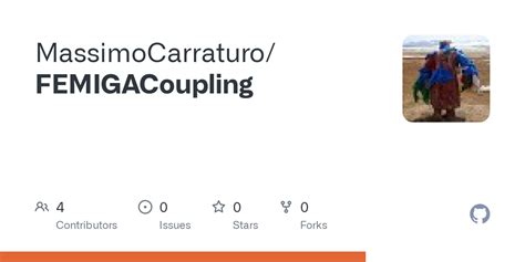 GitHub MassimoCarraturo FEMIGACoupling