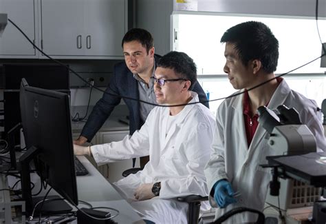 Cellphone Principles Help Microfluidic Chip Digitize Information On Living Cells School Of