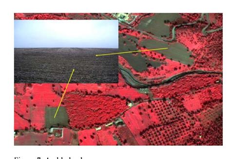 Figure 7 From Digitalization Of Olive Trees By Using Remote Sensing Techniques Semantic Scholar