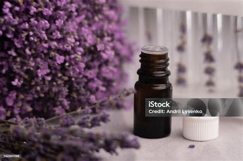 실험실에서 시험관에 있는 자연적인 유기 추출 그리고 라벤더 꽃 허브 향기 본질 건강 및 미용 관리를위한 프로젝트 의약품을 연구하고 개발합니다 0명에 대한 스톡 사진 및 기타