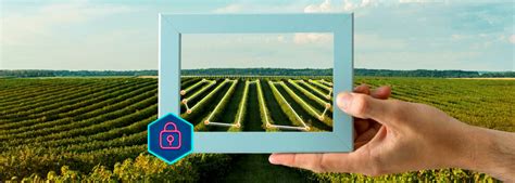 Precision Agriculture The Power Of Advanced Data Annotation