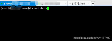 shell 定时任务 linux 定时任务 crontab 定时删除一定日期前的记录文件 王者丶丿风范的博客 csdn博客 crontab
