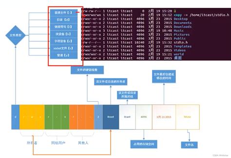 linux学习笔记——文件的查找与检索 find name 命令查找文件 csdn博客