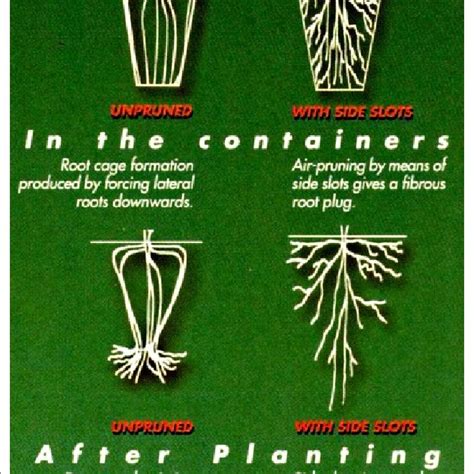 Different Methods Of Achieving Similar Root Pruning Results Physical Download Scientific