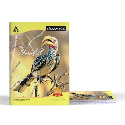 Buy Classmate Notebook King Size 1 Line 172 Pages Soft Cover Considered 200 Pages Online