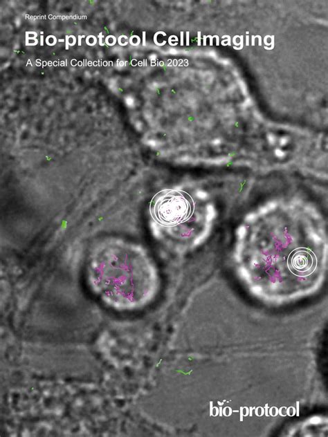 Cell Imaging A Special Collection For Cell Bio 2023 —— Bio Protocol