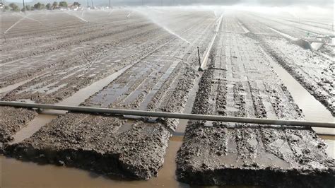 Evaluation Of Dry Polyacrylamide Pam Applicator In Sprinkler