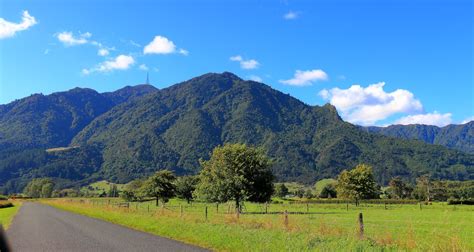 Mount Te Aroha Nz Explored Artyfx Fully Retired Flickr