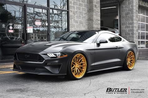Black Mustang Gold Rims