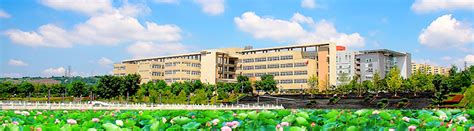 首页 西南政法大学教务处