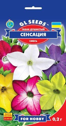 Семена цветов Табака душистого Сенсация (0.2г), For Hobby, TM GL Seeds ...