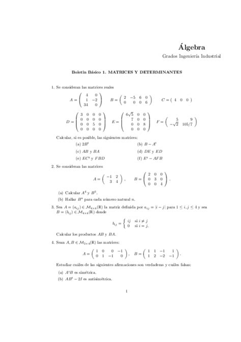 Ejercicios Matrices Y Determinantespdf