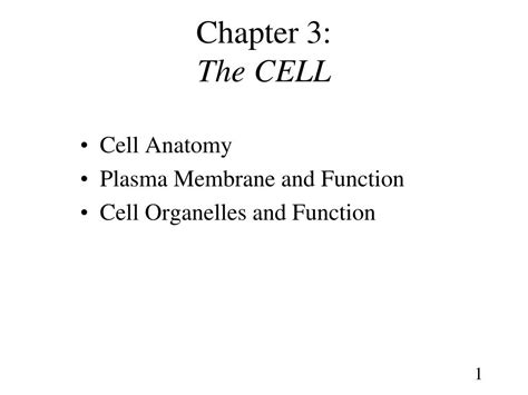 PPT Chapter 3 The CELL PowerPoint Presentation Free Download ID 148362