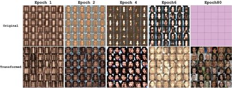Training Comparison In Dcgans D With Transformed D Download
