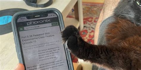 Notes About The Ongoing Perl Logo Discussion Dev Community