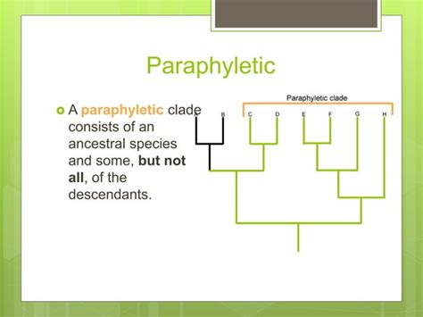 Taxonomyphylogenytutorial Ppt General Biology Ppt