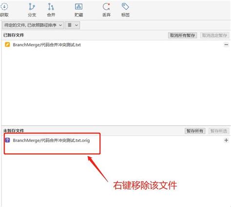 【全网最全面】sourcetree使用教程详解（连接远程仓库，克隆，拉取，提交，推送，新建 切换 合并分支，冲突解决，提交pr） 知乎