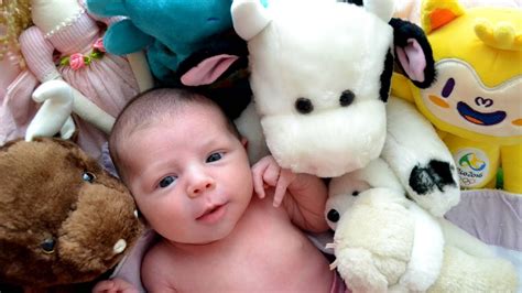 Trocando As Fraldas Youtube