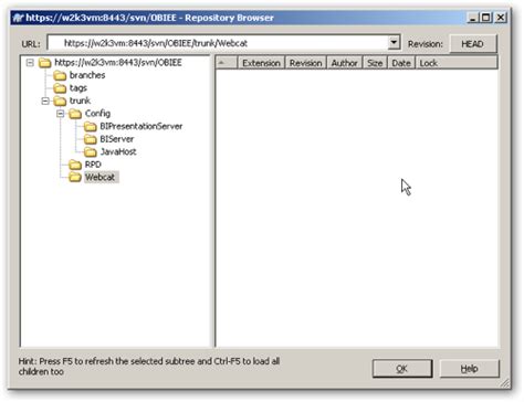 Obiee Software Configuration Management Part 3 Version Controlling The Project