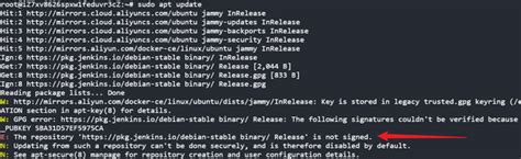 在 Ubuntu 服务器上安装 Jenkins 及报错解决图文教程