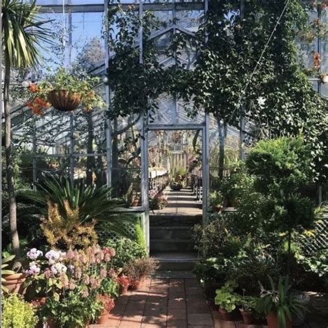 The Princess Sprite On Tumblr