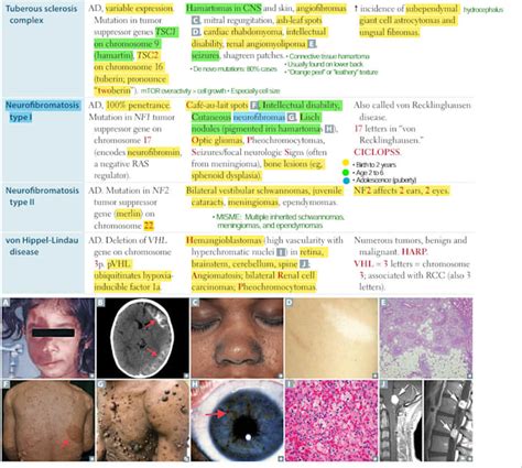 Teach You First Aid Uworld Nbme With Guarantee Success In Usmle Step 1 By Zaidalis Fiverr