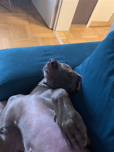 Ive Woken Her Up Now Shes Mad R Eyebleach