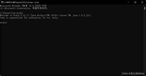Scala语言完整学习流程scala学习 Csdn博客