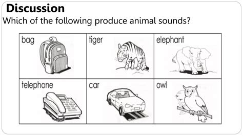 Classify Categorize Soundspptx