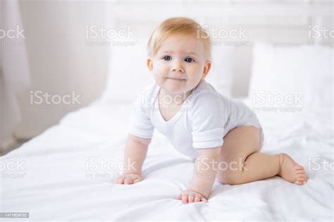 귀여운 웃는 소년은 집에서 하얀 침대에서 기어 다니는 법을 배우고 작은 금발 아기는 아침에 일어났고 행복한 어린 시절과 가족 6 11 개월에 대한 스톡 사진 및 기타 이미지