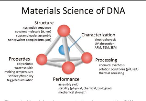 Figure 1 From Practical Aspects Of Structural And Dynamic Dna