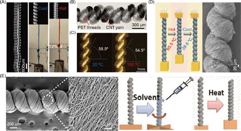 Typical Super Coiled Yarn Actuators Based On Various Polymers A A Download Scientific