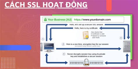 Chứng Chỉ Ssl Là Gì Tại Sao Nên Mua Ssl Cho Website