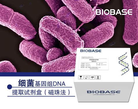 核酸提取试剂盒（磁珠法）核酸提取试剂产品及应用 博科官网