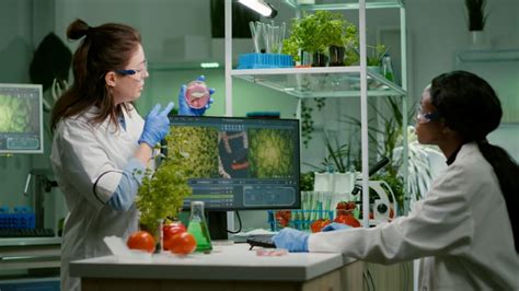 The Shape Of Life A Deep Dive Into Morphology In Biology