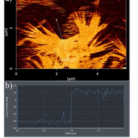 A Phase Shift Map Of A Set Of The Bundles Of The In Plane
