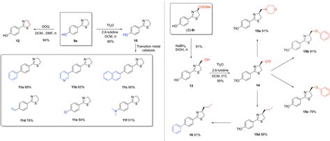 雷晓光课题组开发出含氮杂环噻唑啉的首例化学酶法合成策略 X Mol资讯